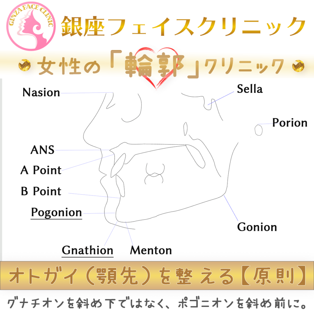 ポゴニオンとグナチオン｜Pogonion & Gnathion | 小顔整形・輪郭整形専門の美容外科 / 銀座フェイスクリニック